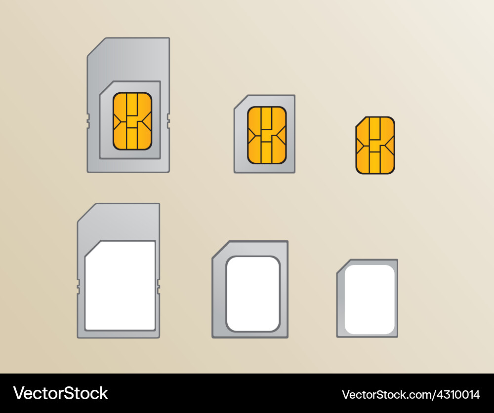 Types of sim cards Royalty Free Vector Image - VectorStock