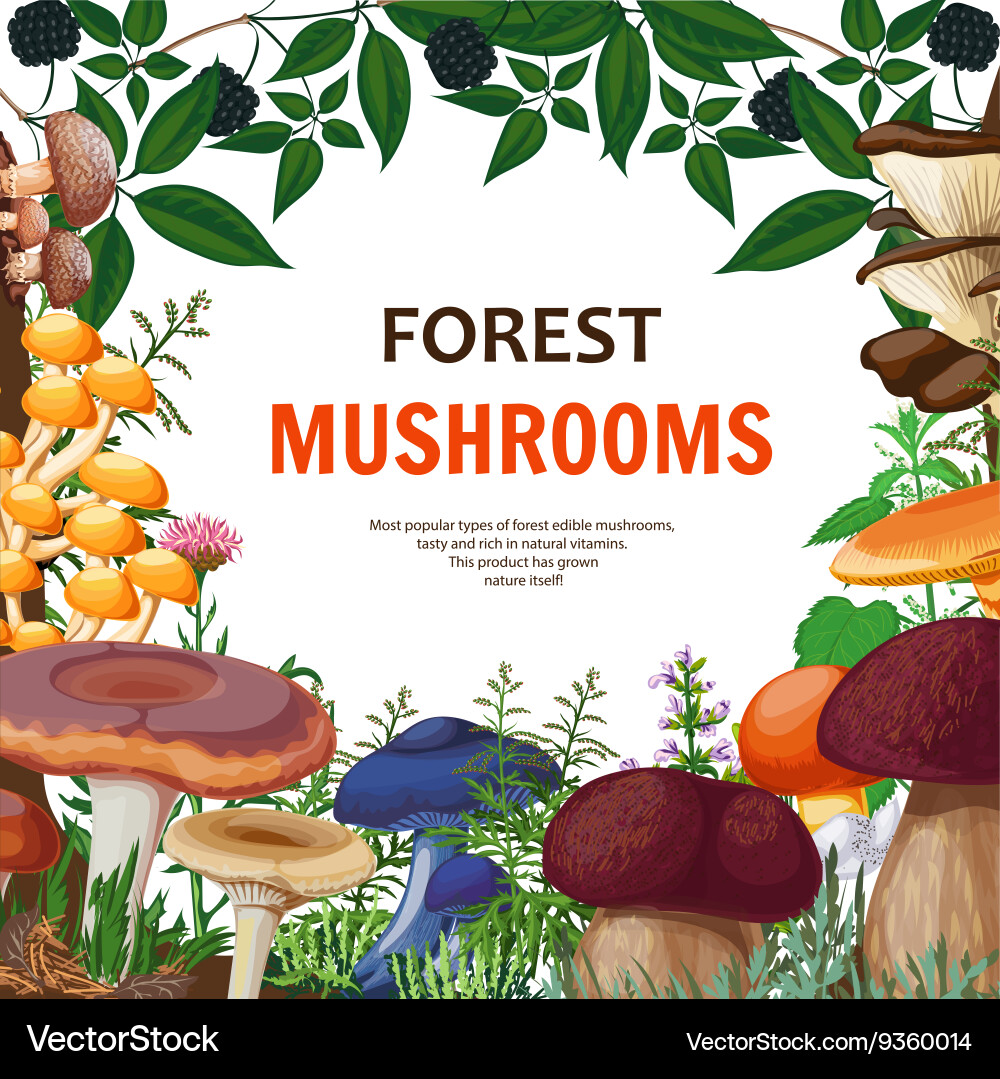 Wild Mushroom Forest Scene Royalty Free Vector Image