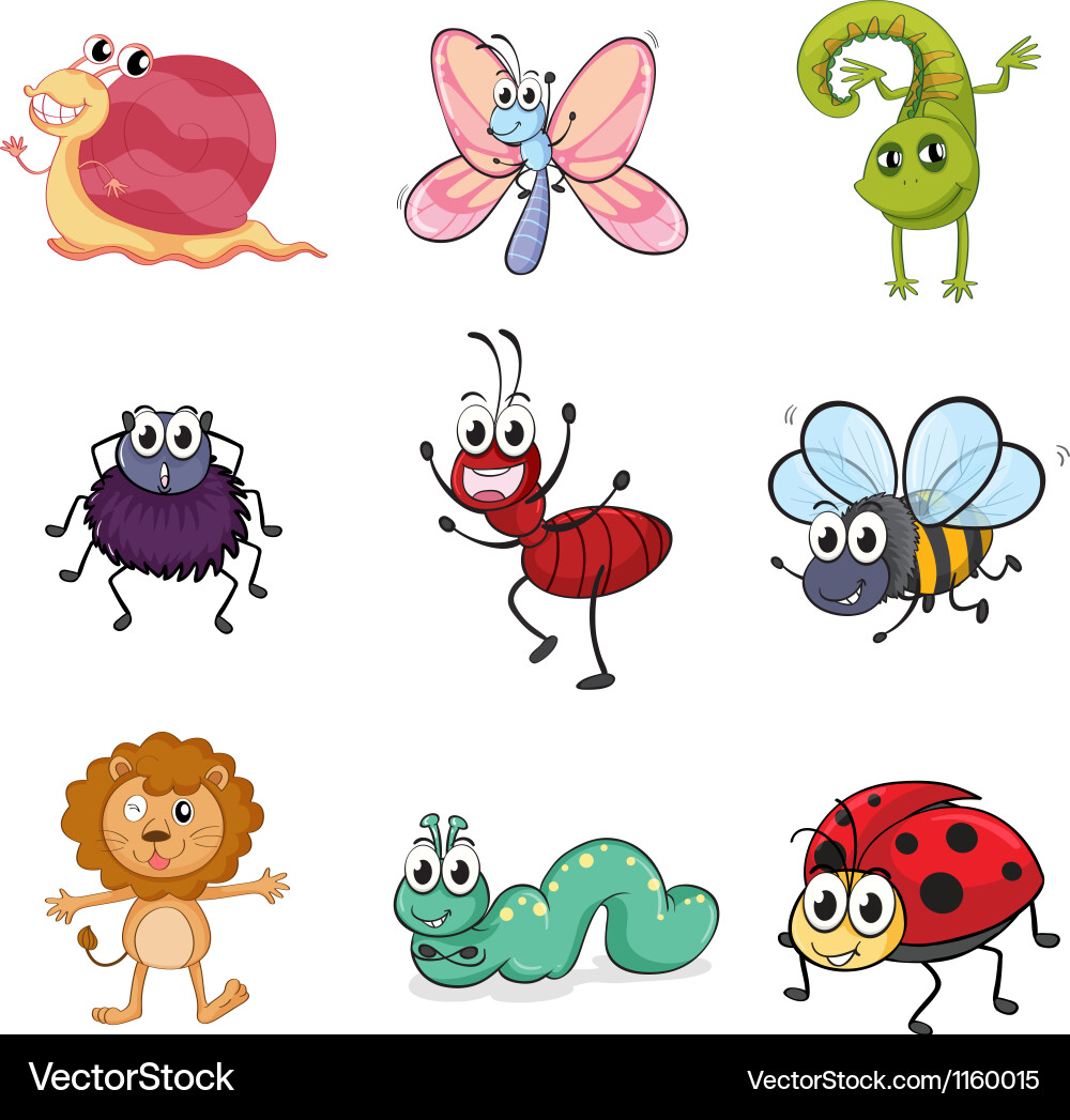 Colorful creatures Royalty Free Vector Image - VectorStock