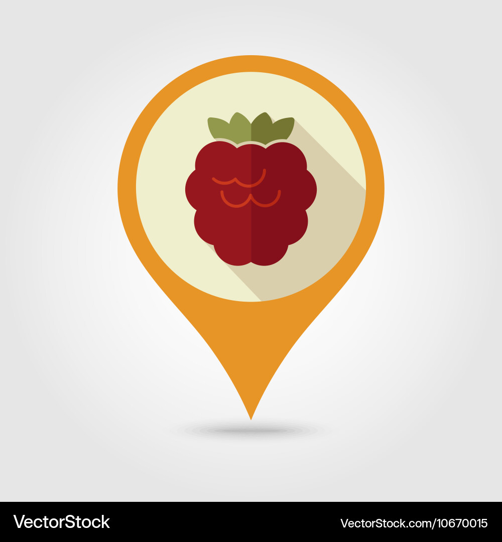 Raspberry flat pin map icon berry fruit Royalty Free Vector
