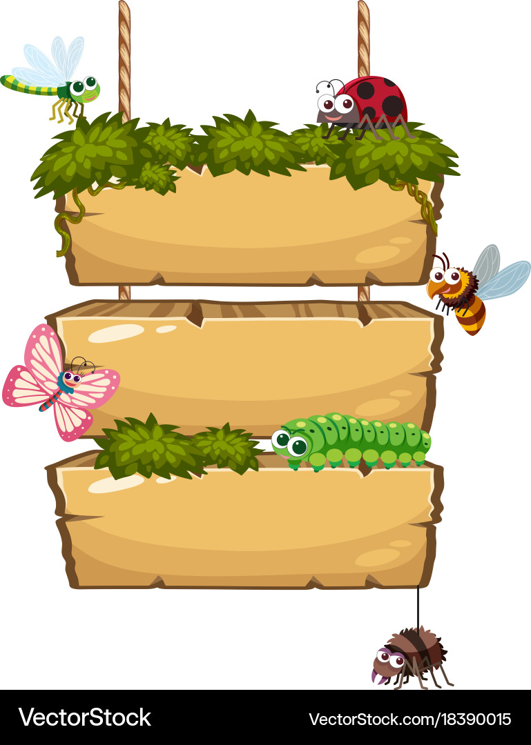 Wooden sign template with different bugs Vector Image