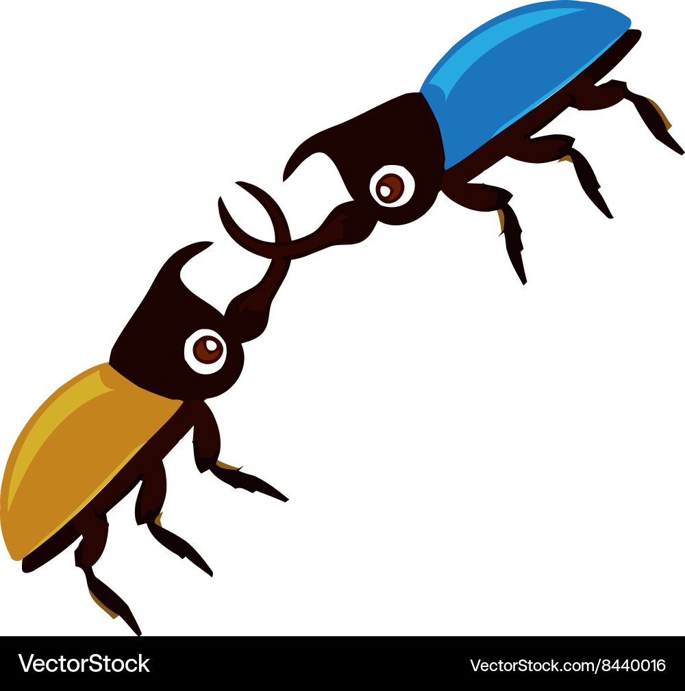 Beetles Royalty Free Vector Image - VectorStock