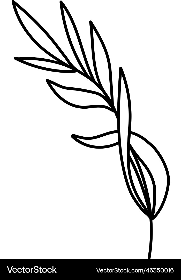 Cute twig line art Royalty Free Vector Image - VectorStock