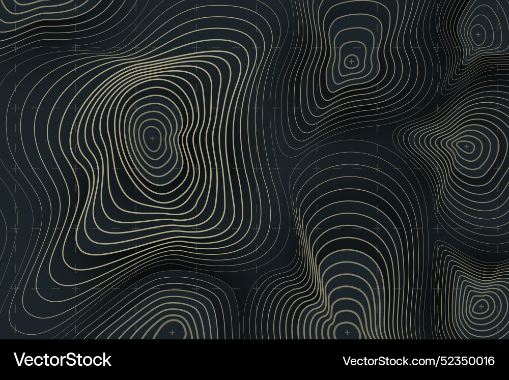 Topographic map background theme Royalty Free Vector Image