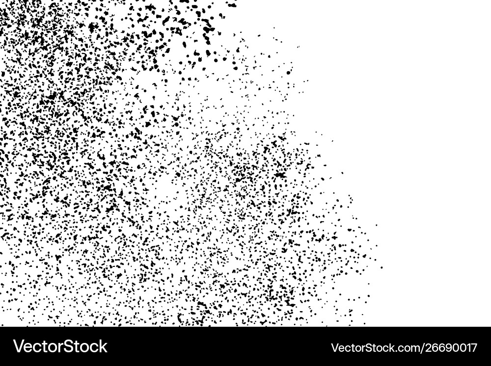 Abstract grainy texture isolated on white Vector Image