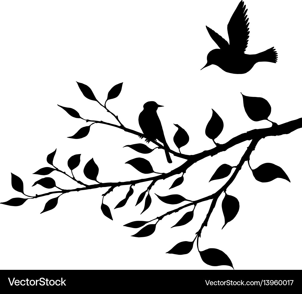 Birds at tree silhouettes Royalty Free Vector Image