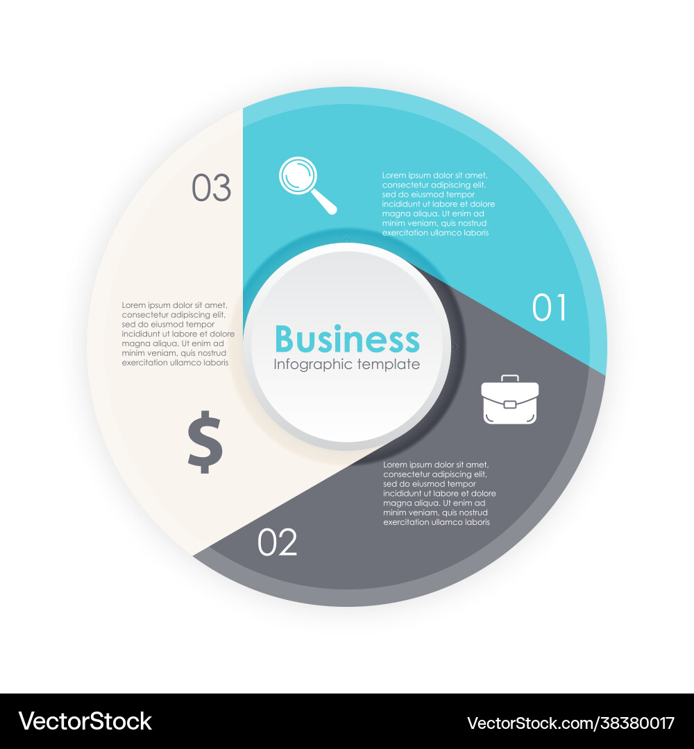 Circle infographic template with 3 options Vector Image