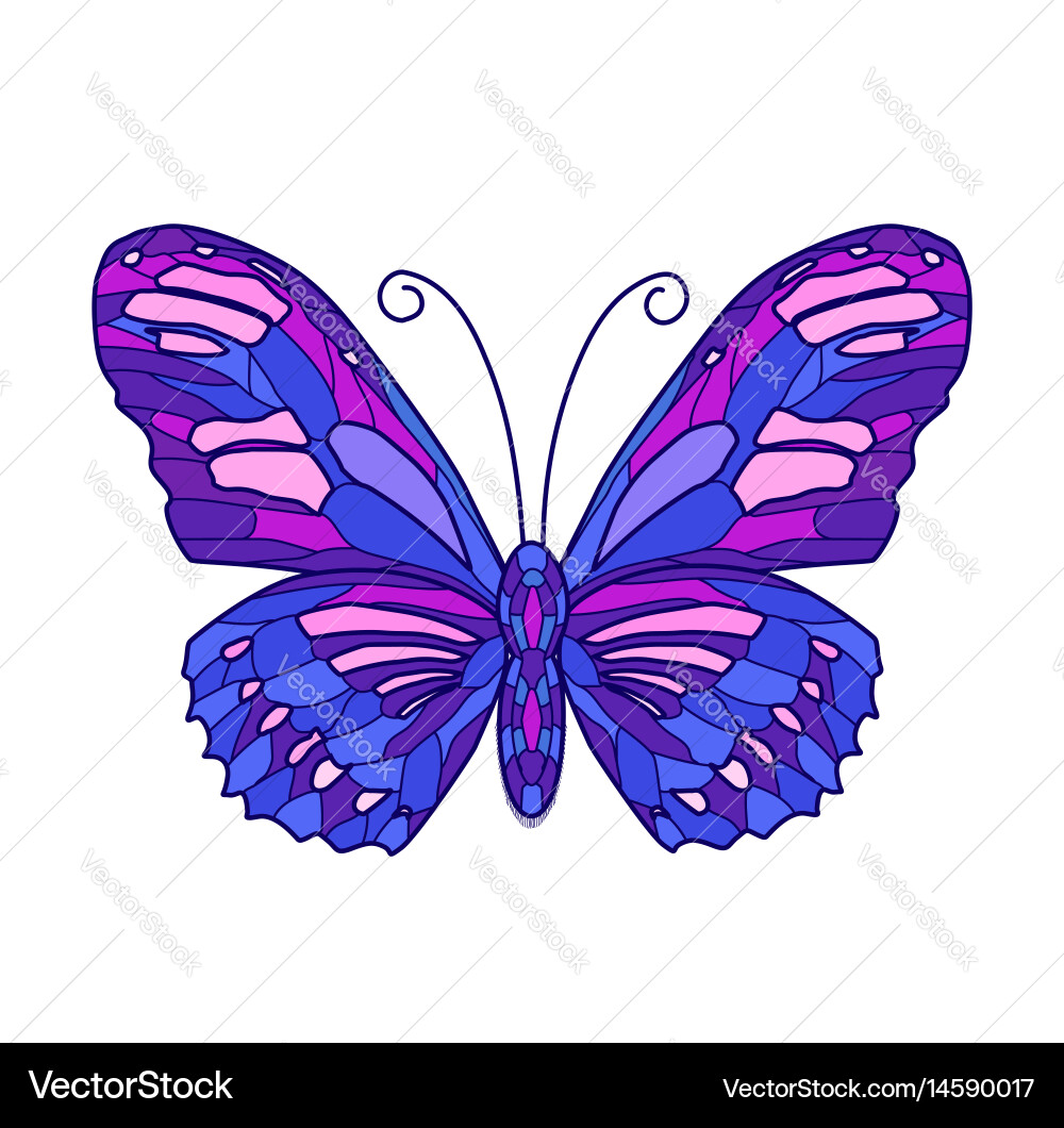 Color butterfly Royalty Free Vector Image - VectorStock