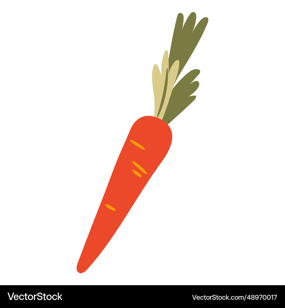 Semi flat carrot design Royalty Free Vector Image