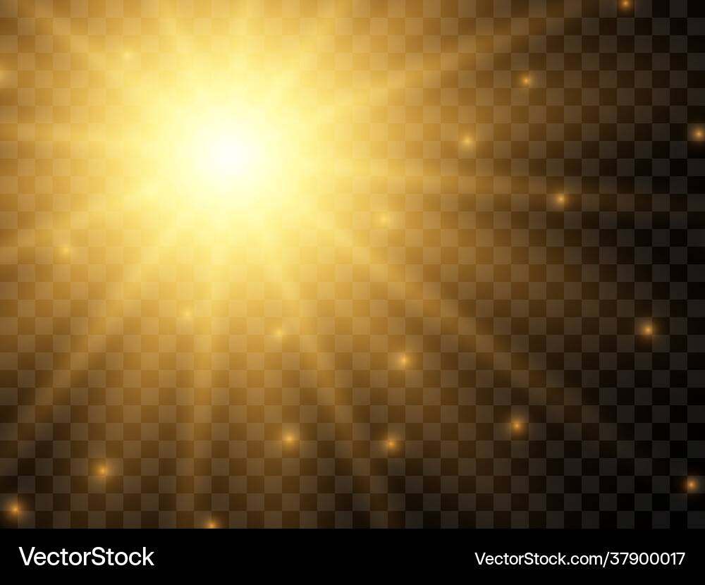 Sunlight on a transparent background Royalty Free Vector
