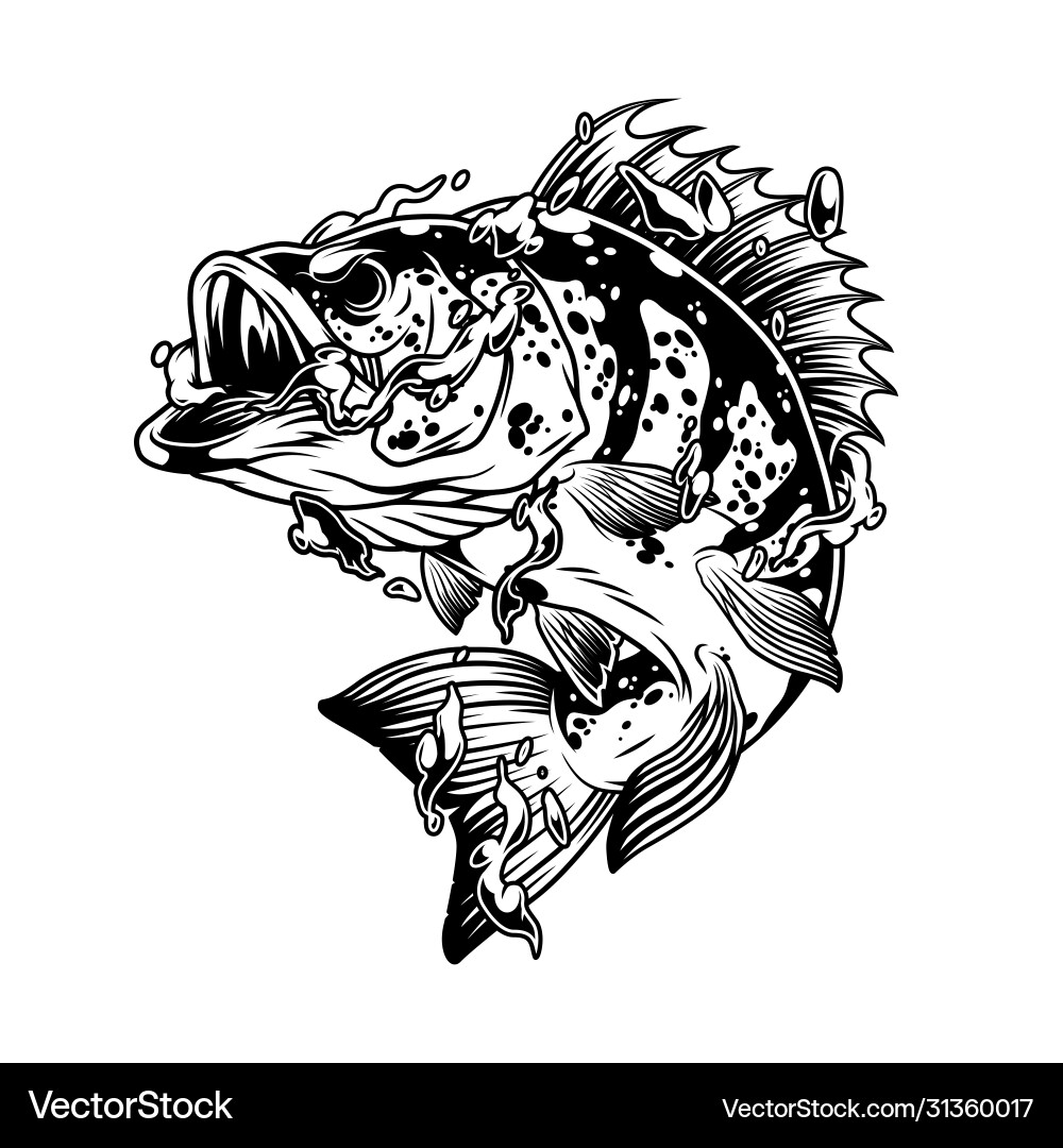Vintage monochrome perch fish Royalty Free Vector Image