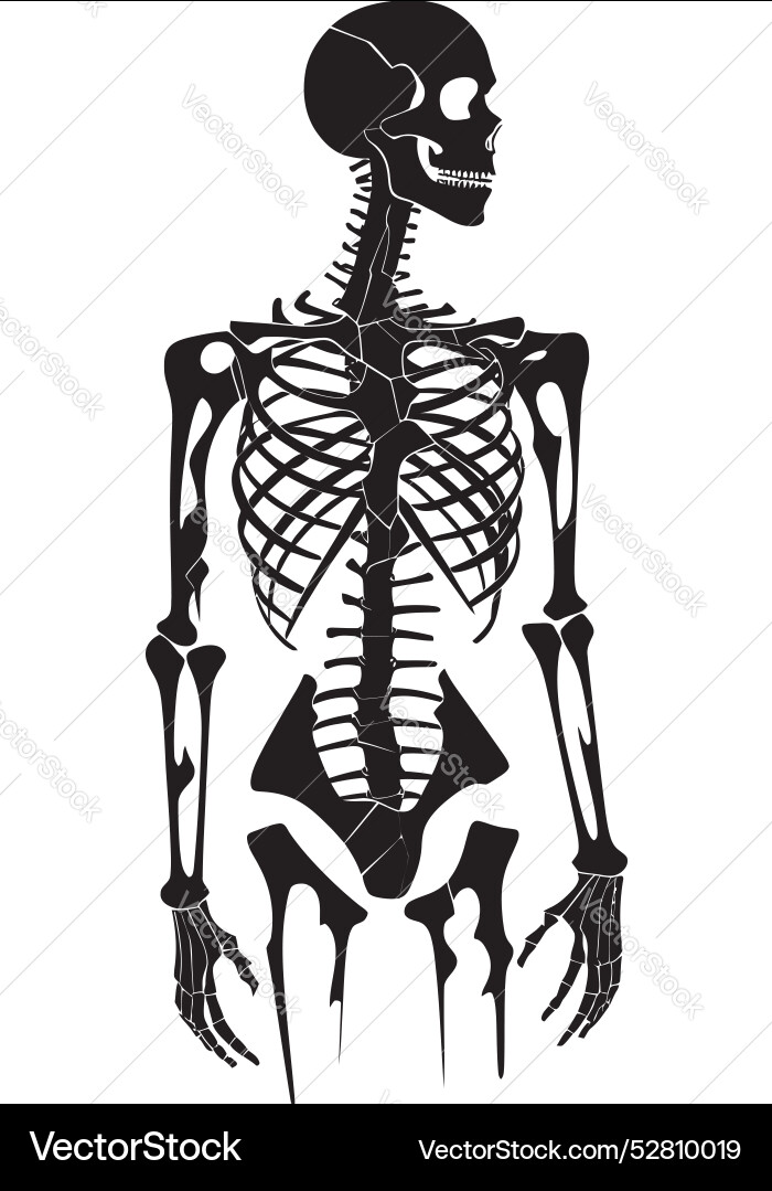 Crackcraft fractured skeleton symbol splintered Vector Image