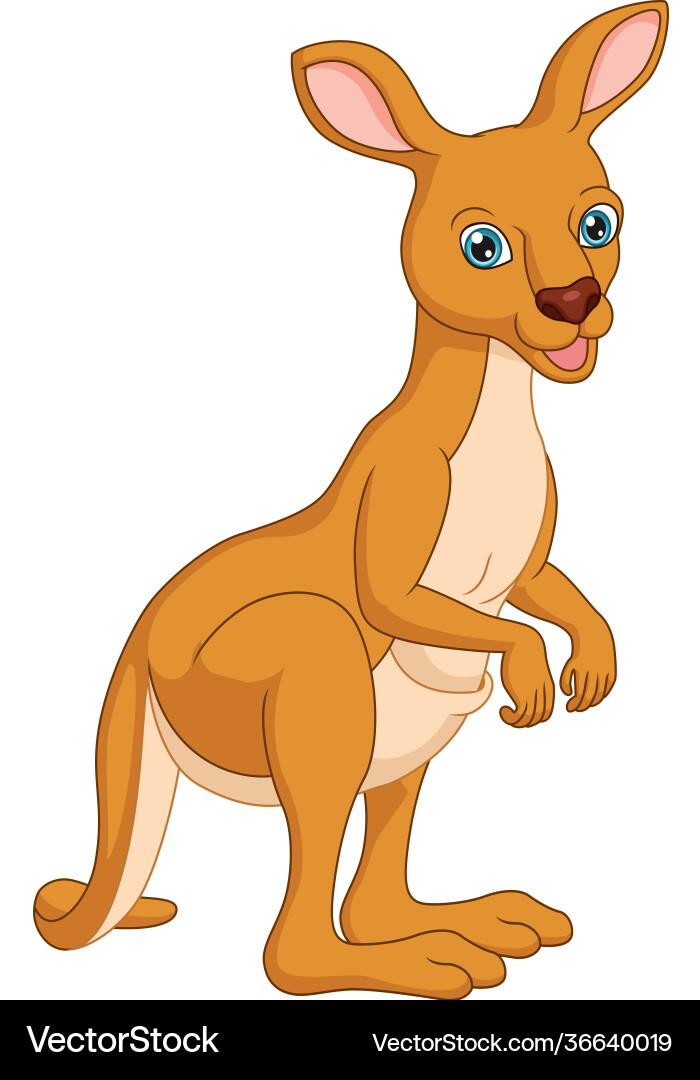 Cute kangaroo cartoon isolated on white background