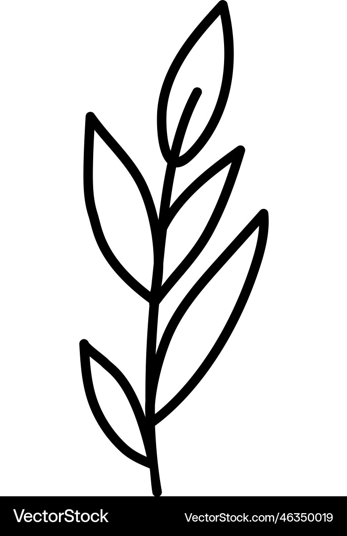 Cute twig line art Royalty Free Vector Image - VectorStock