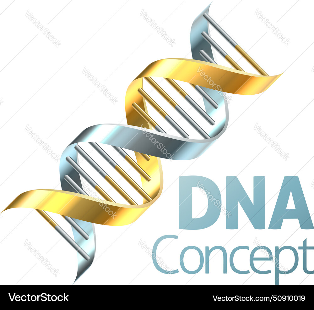 Double helix dna genetics strand concept Vector Image