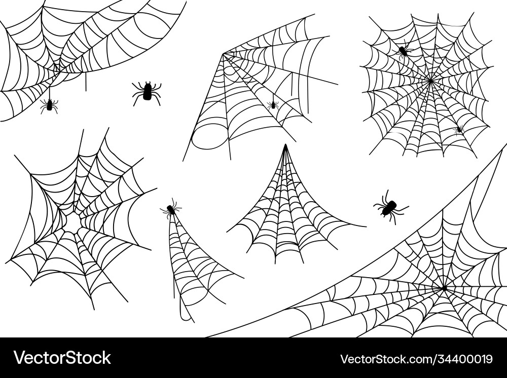 Irregular realistic spider webs in different Vector Image