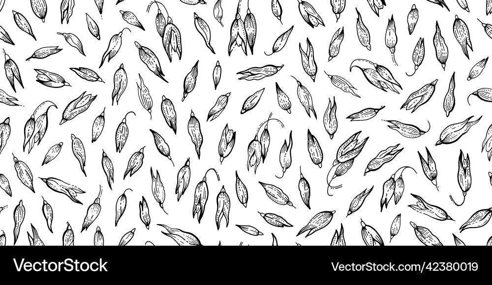 Oat sketch pattern oatmeal Royalty Free Vector Image