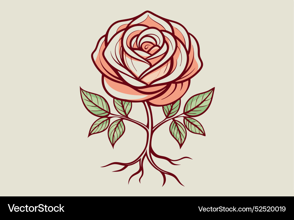 Rose flower root silhouette n Royalty Free Vector Image