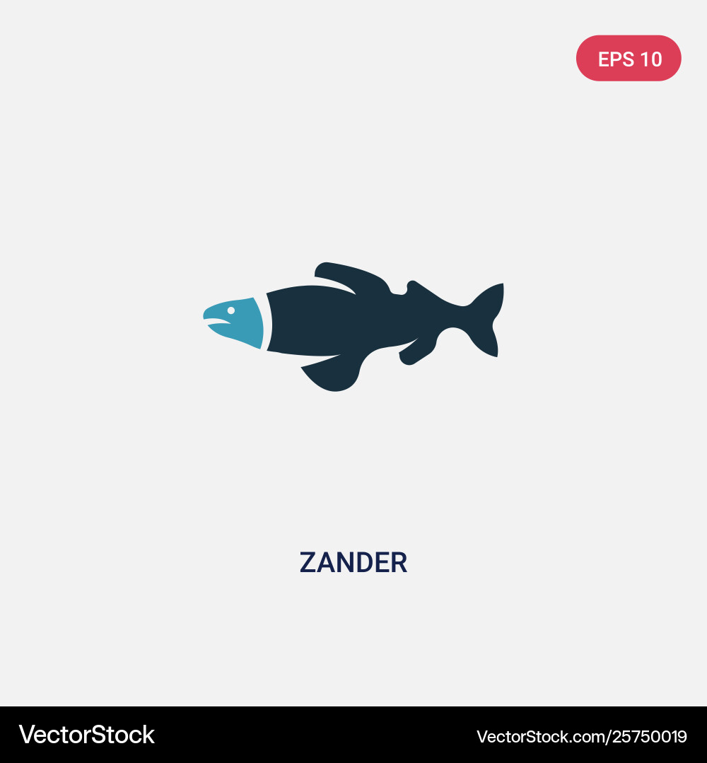Two color zander icon from animals concept Vector Image