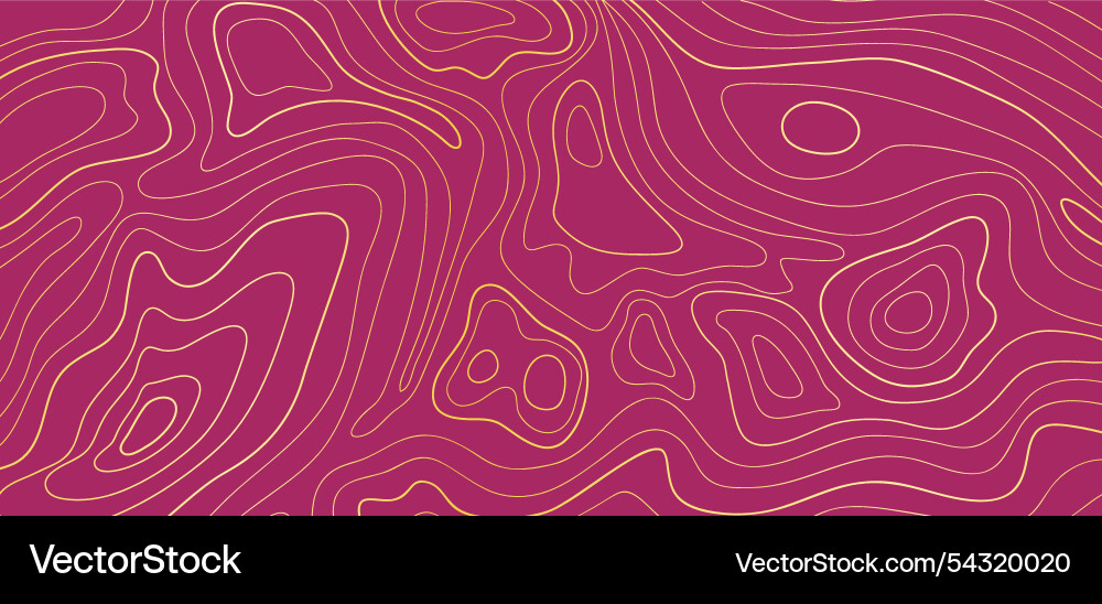Abstract gold line topography map contour Vector Image