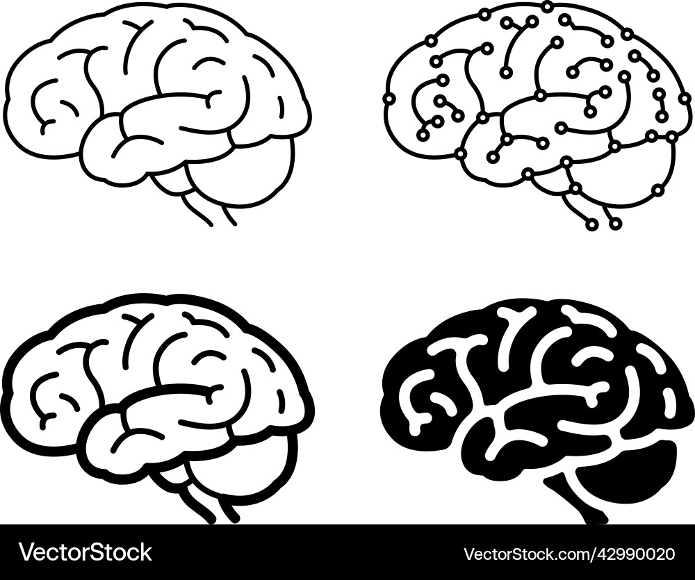Human brain drawing set Royalty Free Vector Image