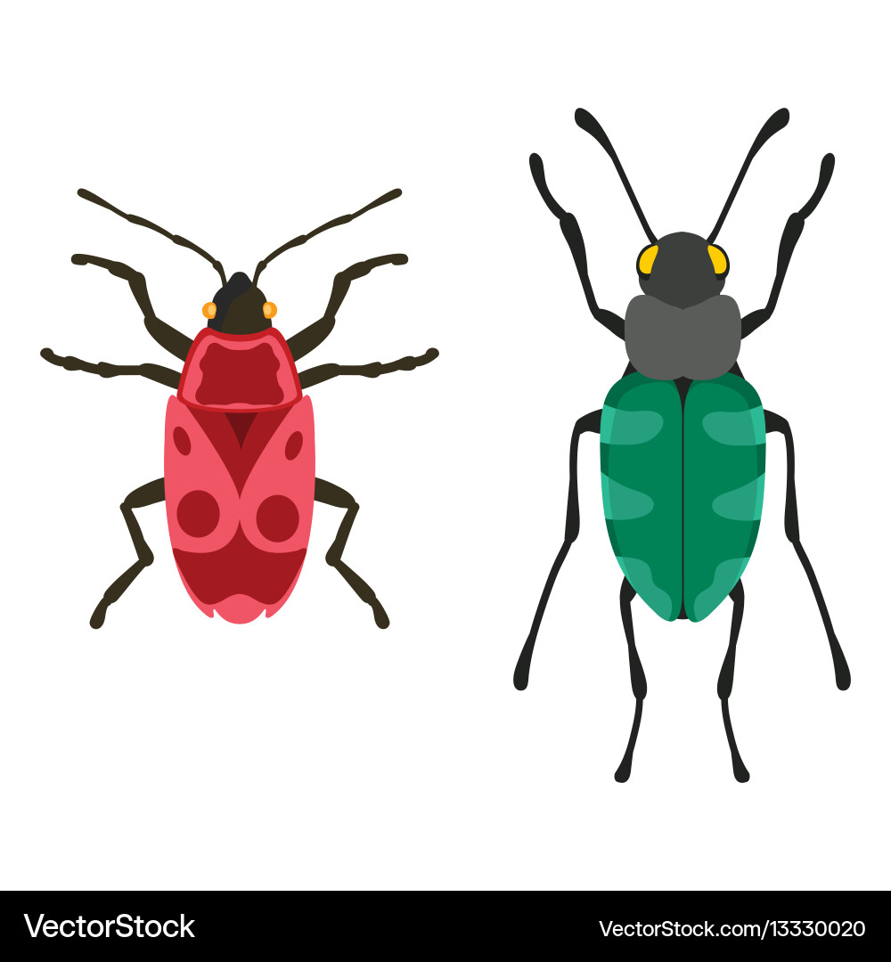 Insect icon flat isolated Royalty Free Vector Image