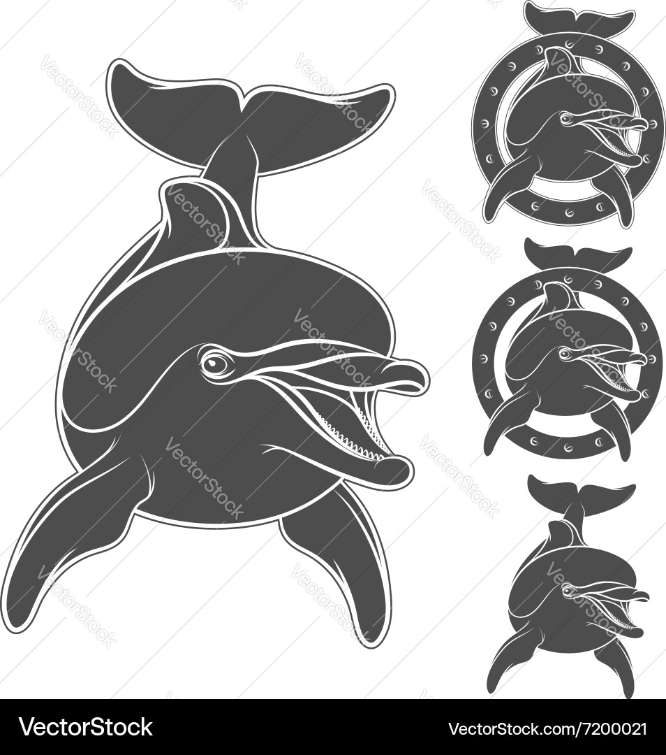 Dolphin Emblem Set Royalty Free Vector Image - VectorStock