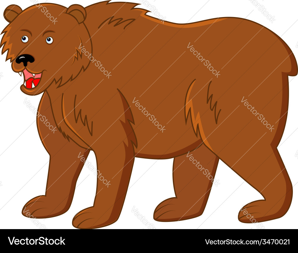 Oso Royalty Free Vector Image - VectorStock