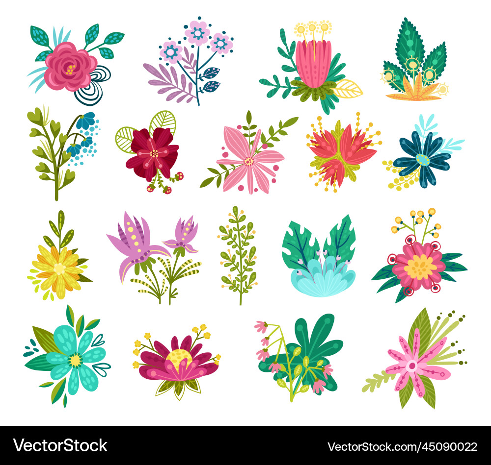 Blooming flower composition and garden flora Vector Image