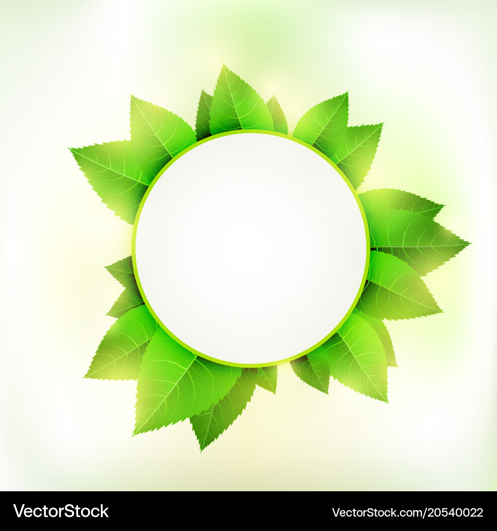 Green circle Royalty Free Vector Image - VectorStock