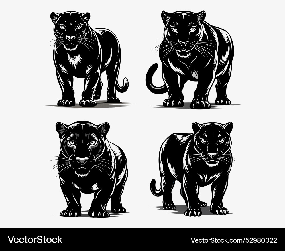 Panther minimalist and simple silhouette Vector Image