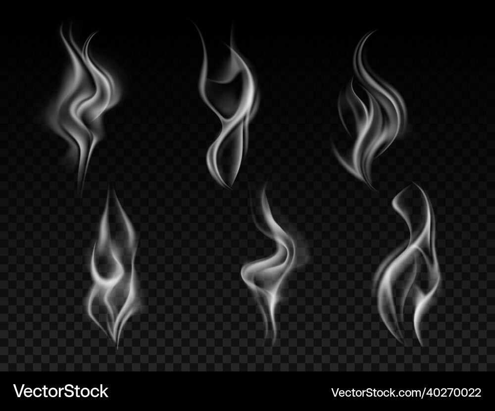 Realistic smoke streams different shapes swirled Vector Image