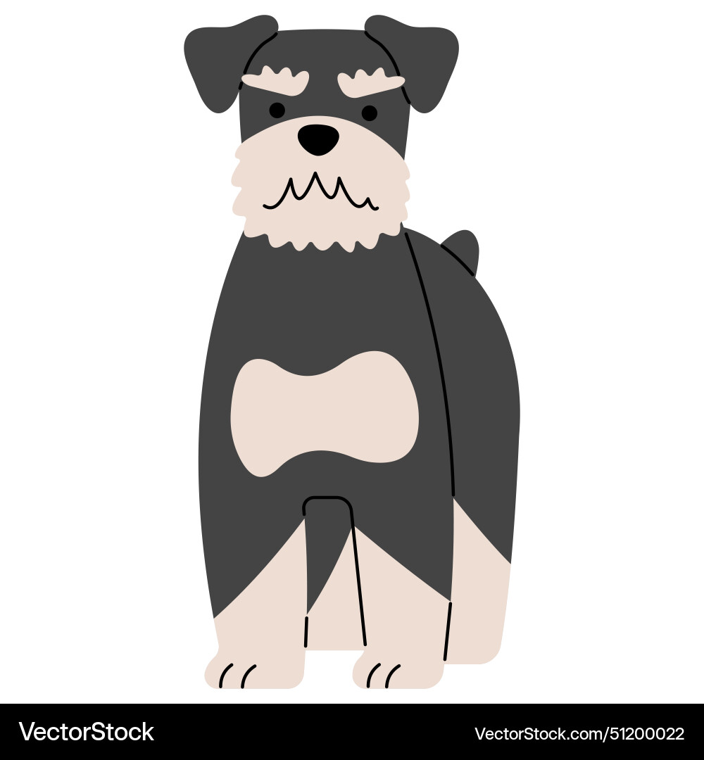 Schnauzer Royalty Free Vector Image - VectorStock