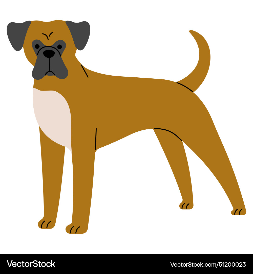 Boxer Royalty Free Vector Image - VectorStock