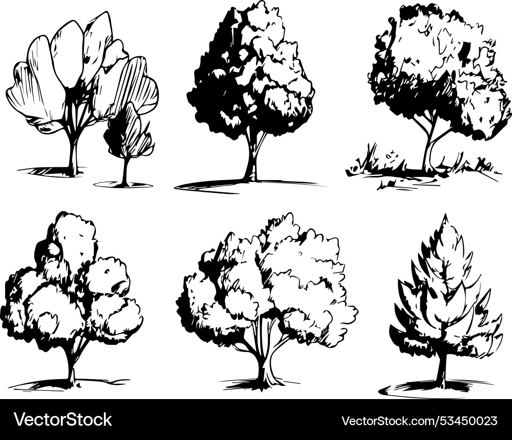 Set trees Royalty Free Vector Image - VectorStock