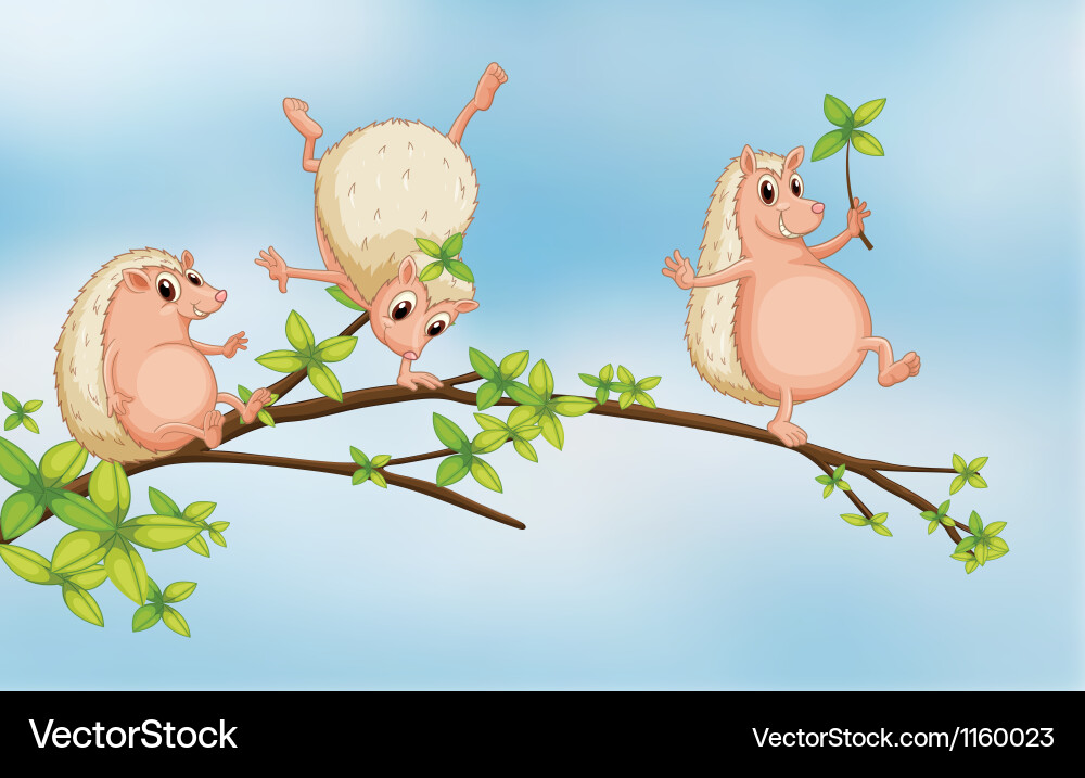 Three wild animals playing Royalty Free Vector Image