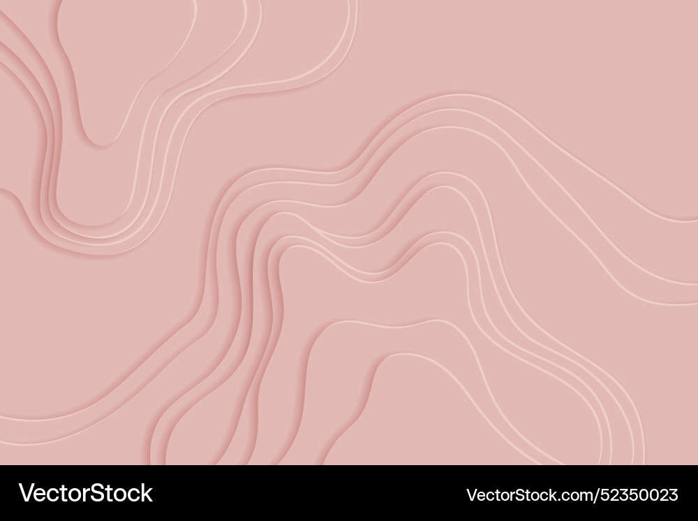 Topographic map wallpaper Royalty Free Vector Image