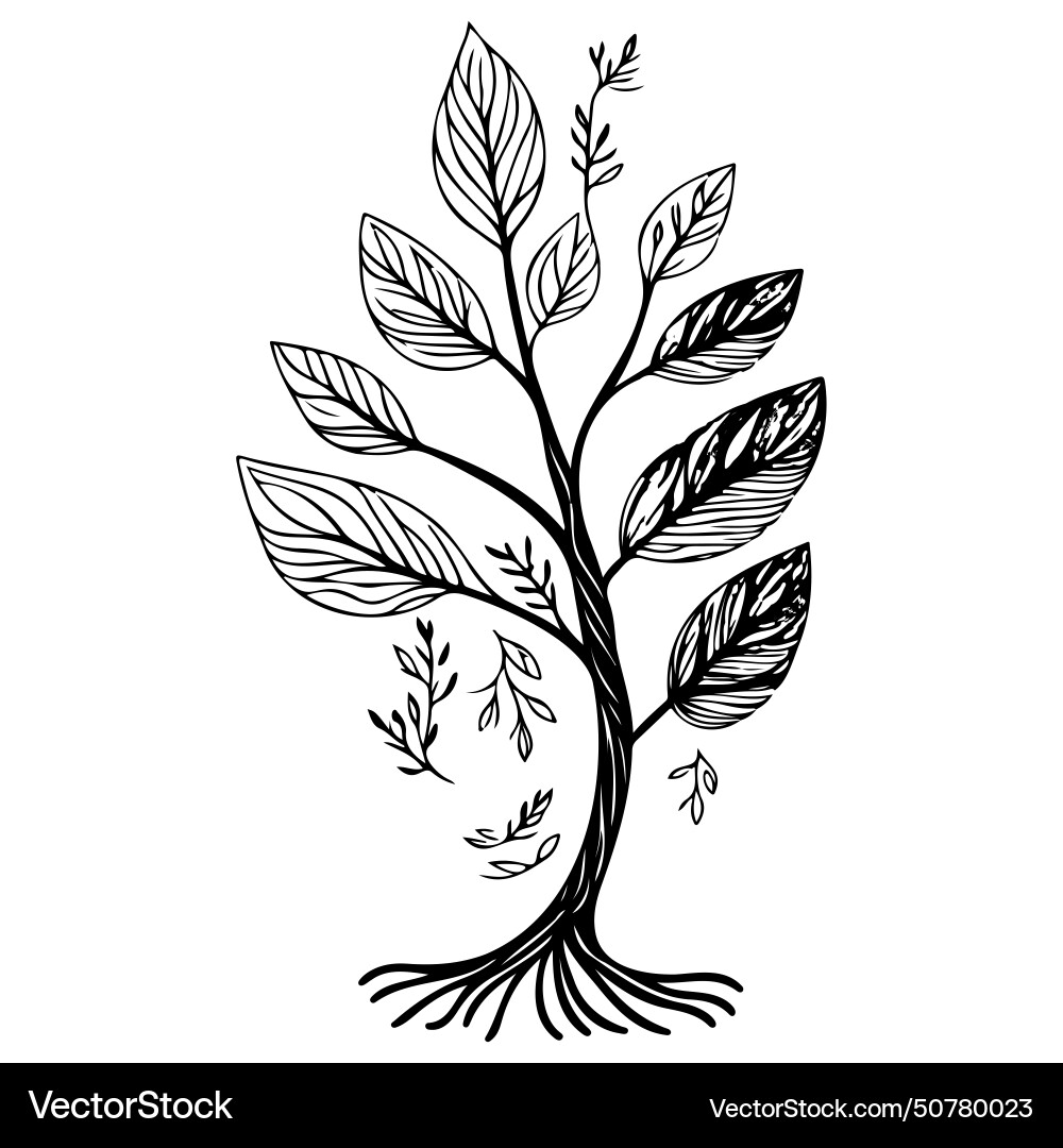 Tree half spring autumn floral sketch draw Vector Image