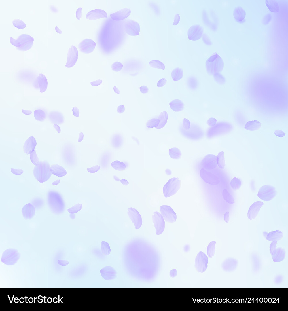 Violet flower petals falling down extra romantic Vector Image