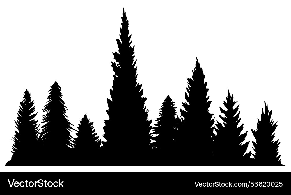 Drawing pine trees collection forest image Vector Image
