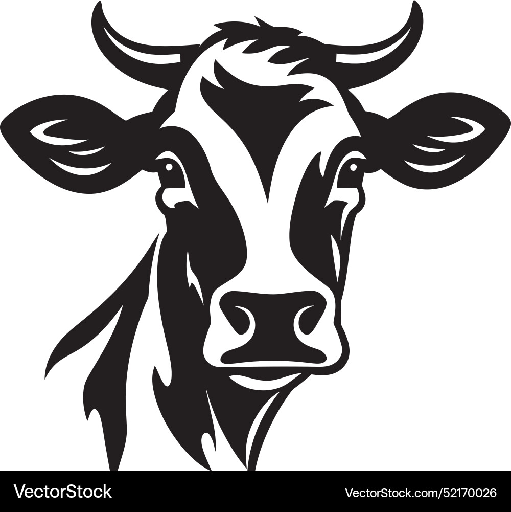 Cattle culture traditions and celebrations Vector Image