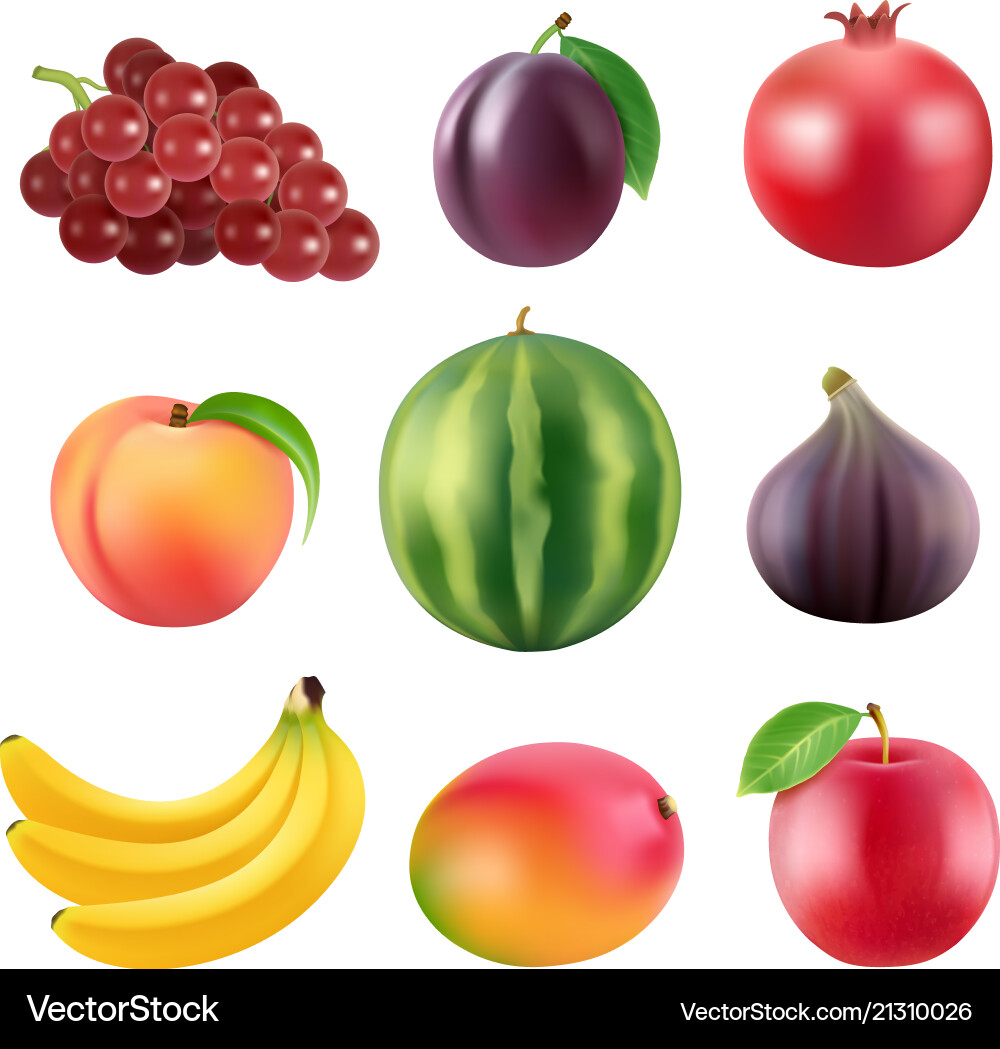 Realistic of various fruits Royalty Free Vector Image
