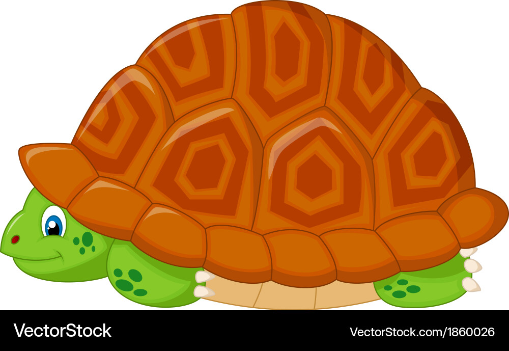Turtle cartoon hiding in his shell Royalty Free Vector Image