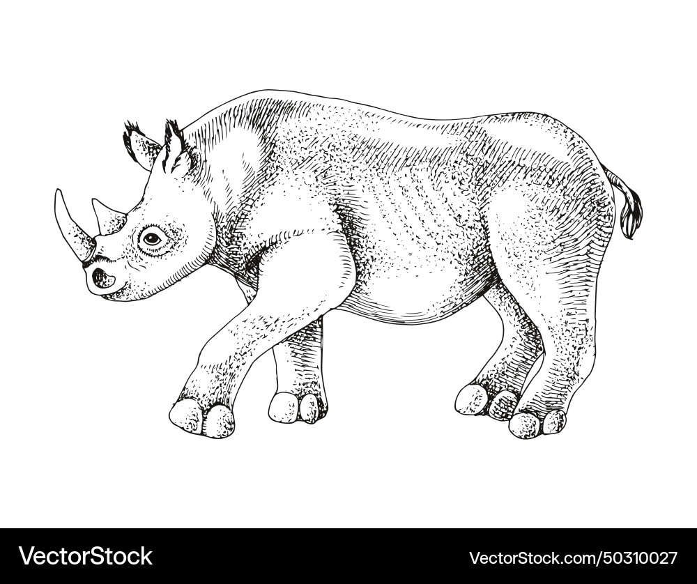 Black rhinoceros extinct animal sketch Royalty Free Vector