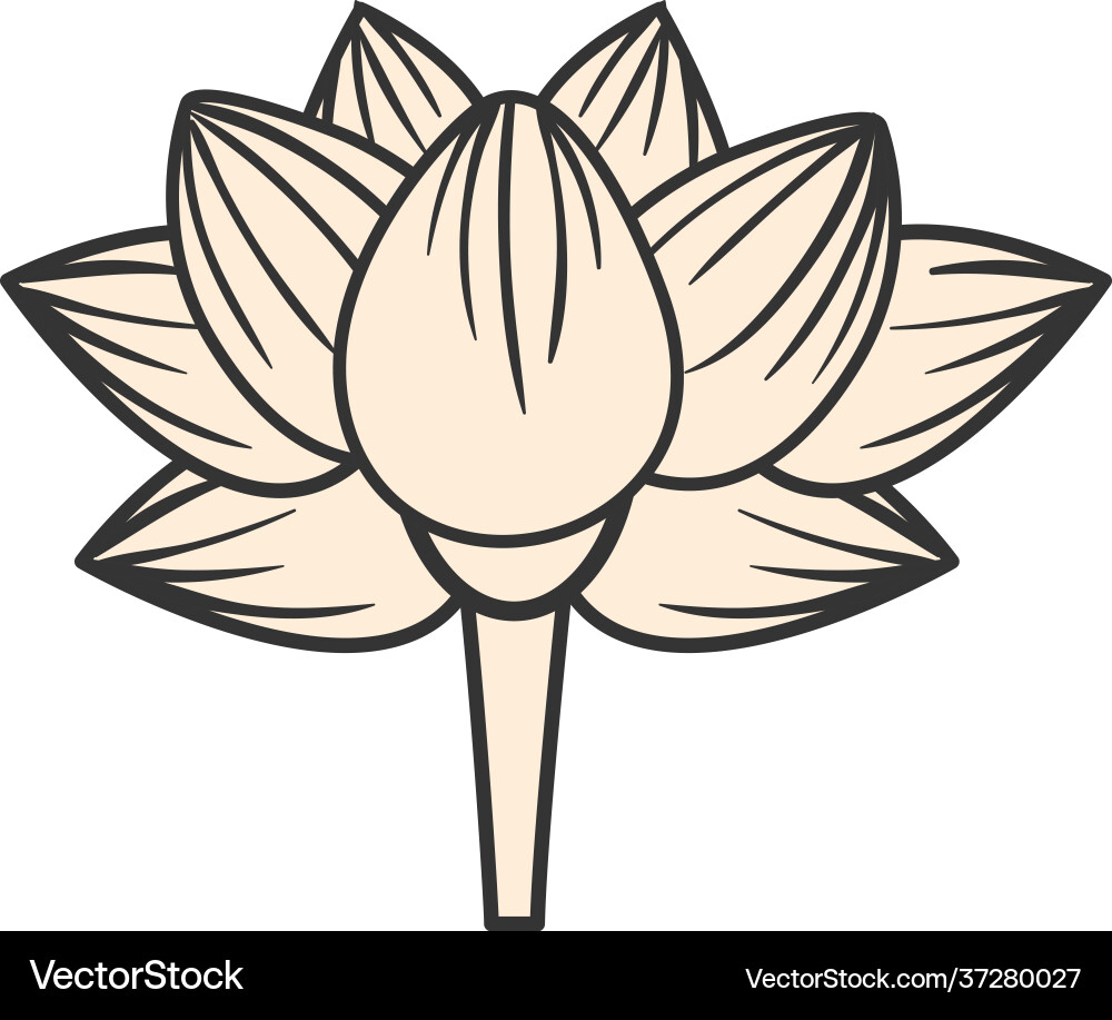 Chinese lotus flower Royalty Free Vector Image