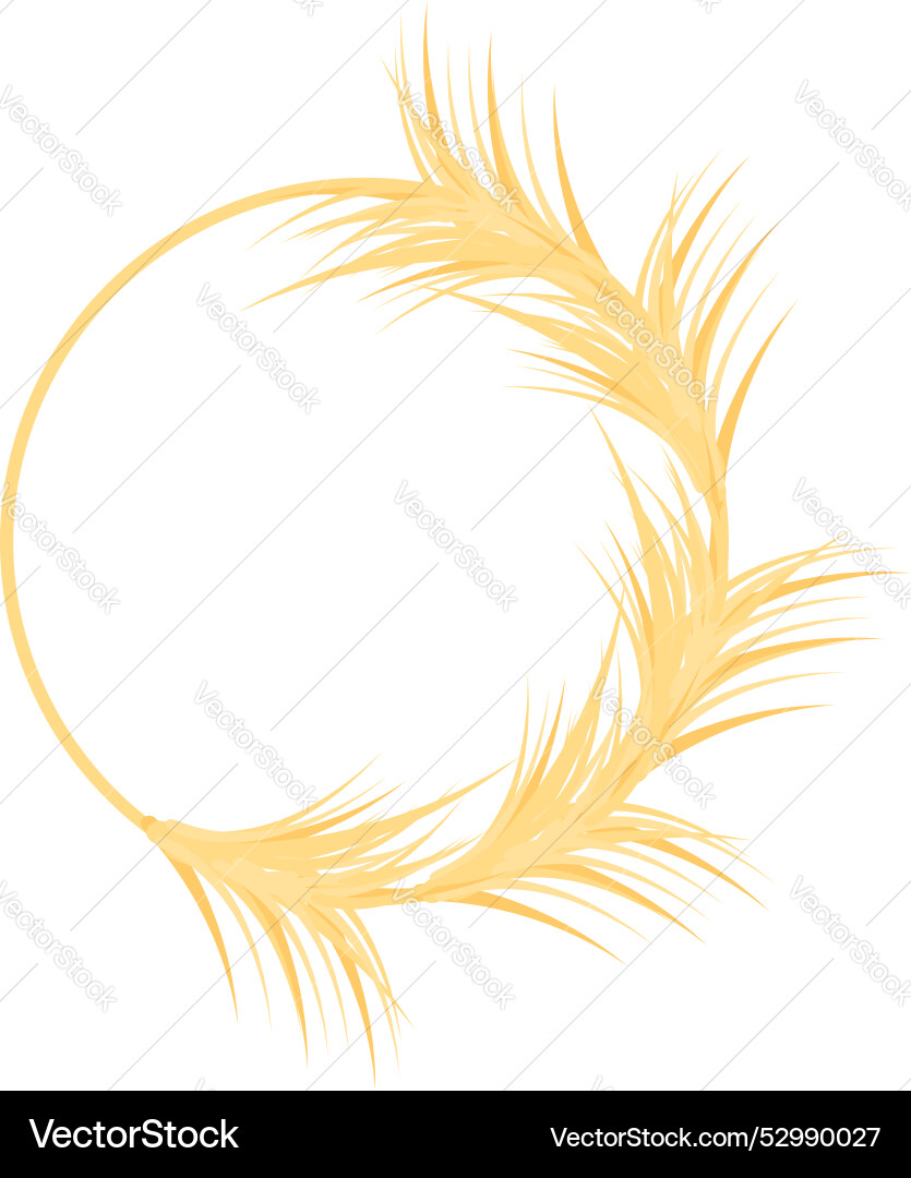 Golden pampas grass creating a circle on white Vector Image