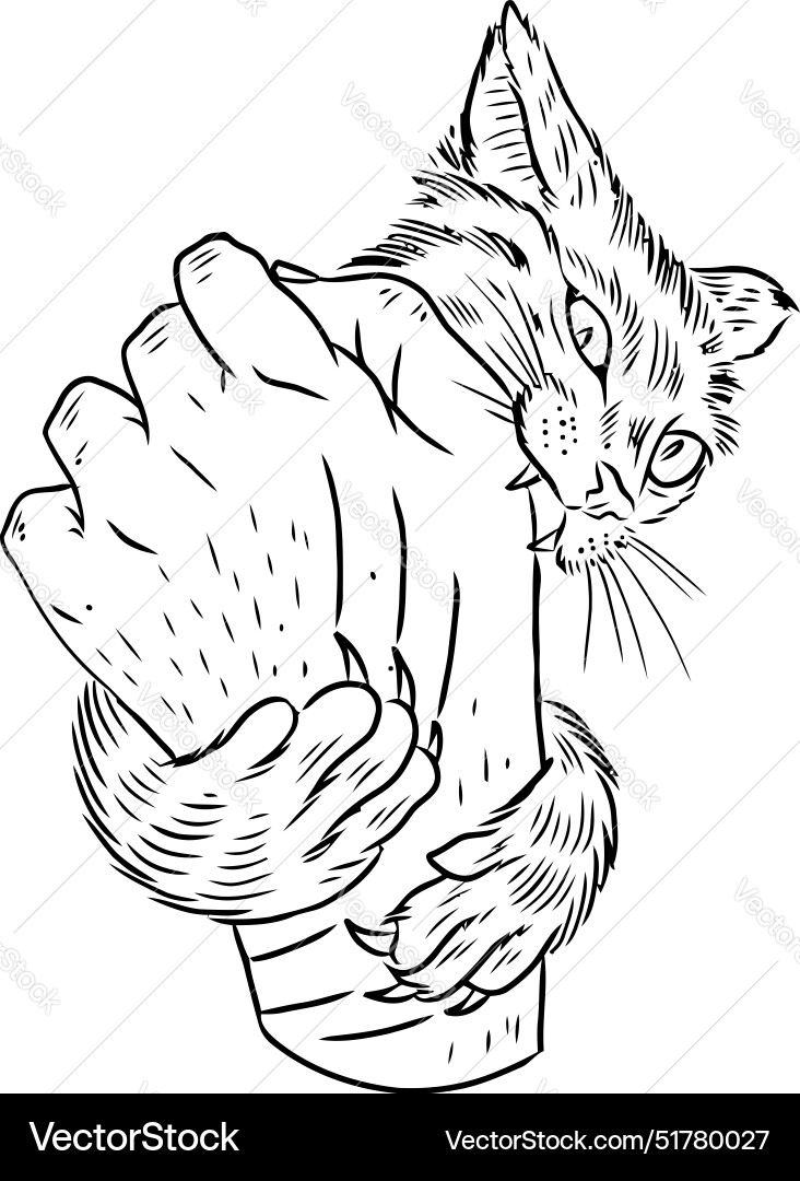 Kitten scratched and biting owners silhouette art Vector Image