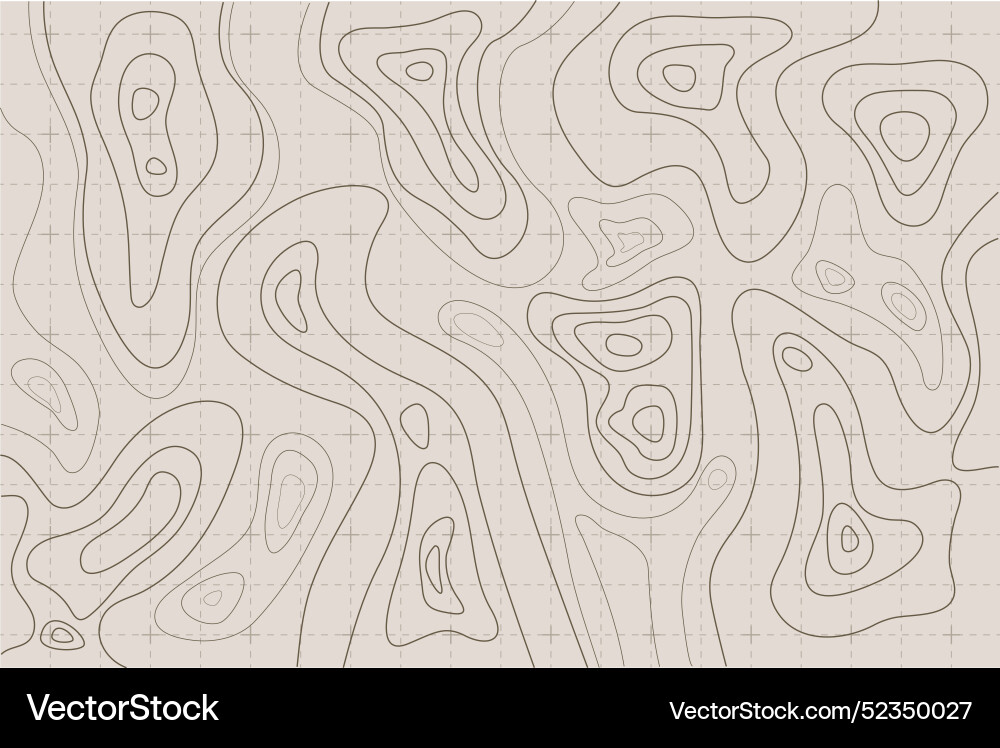 Topographic map background concept Royalty Free Vector Image