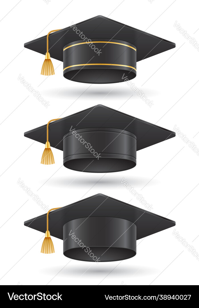 University college and academy graduate hat Vector Image