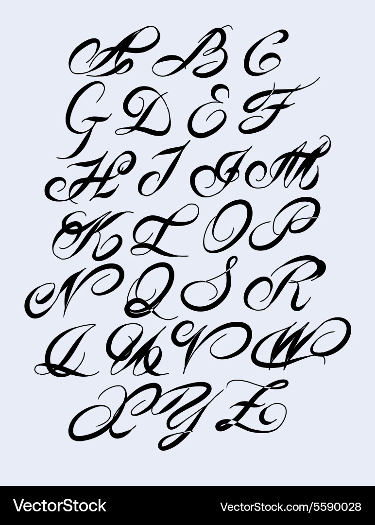 Calligraphic alphabet design elements Royalty Free Vector